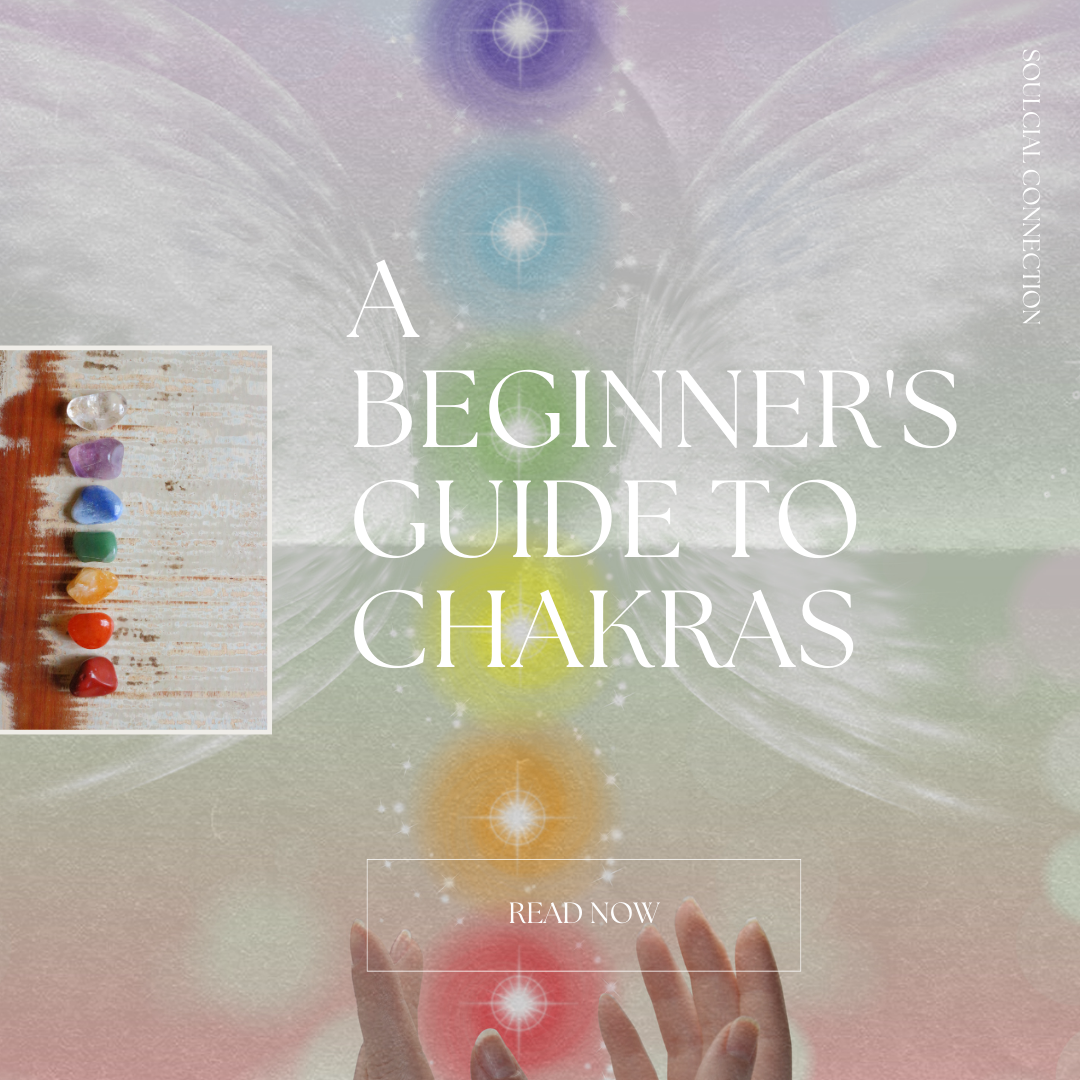 The Beginners Guide to: The Chakra System – Soulcial Connection